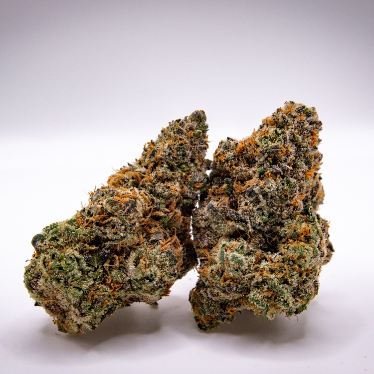 Papaya Runtz - CannaBay: Discover Central Coast Cannabis From Moss ... Papaya Runtz - CannaBay: Discover Central Coast Cannabis From Moss ...